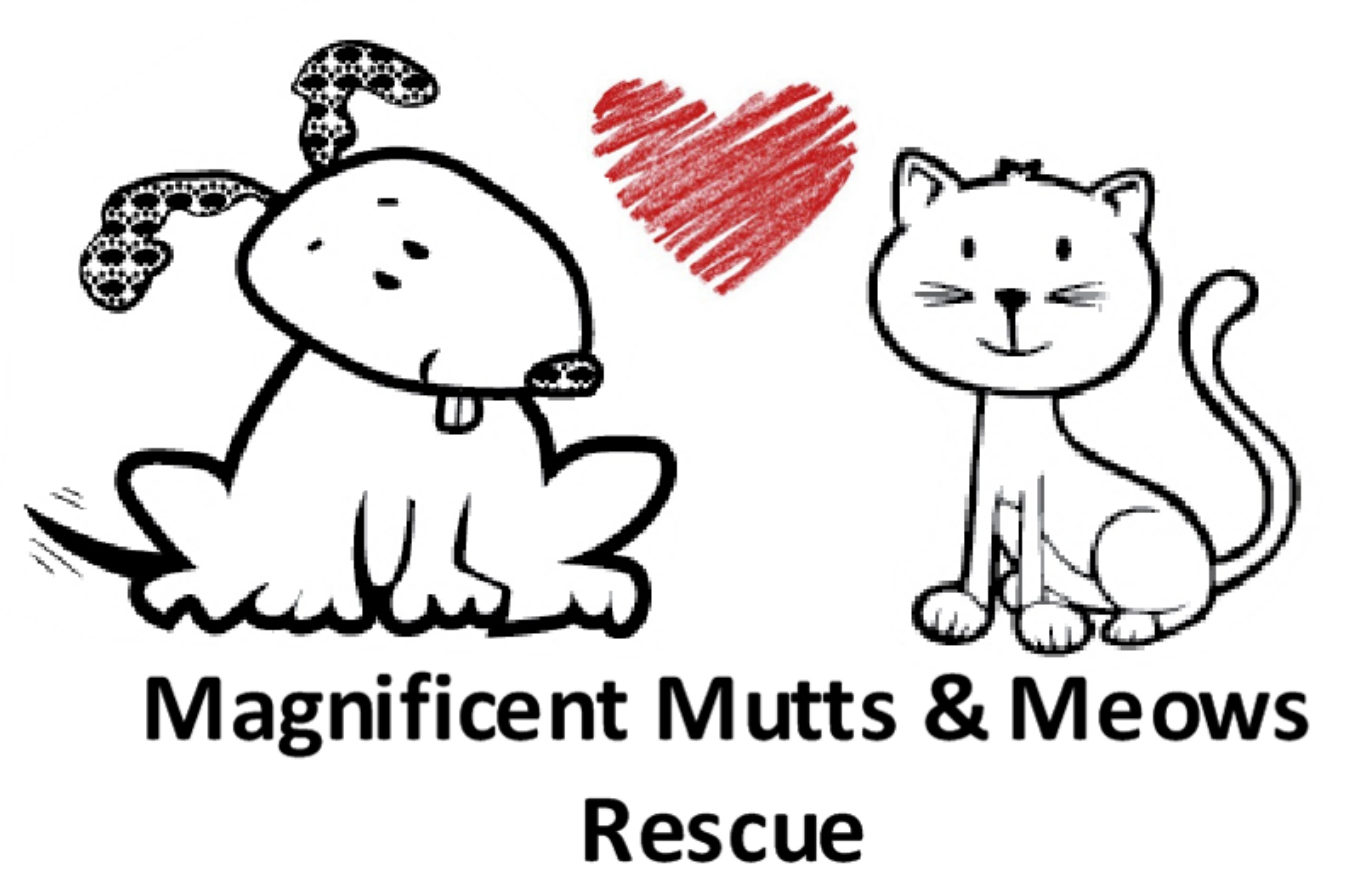 Magnificent Mutts Animal Rescue - Hillside, IL